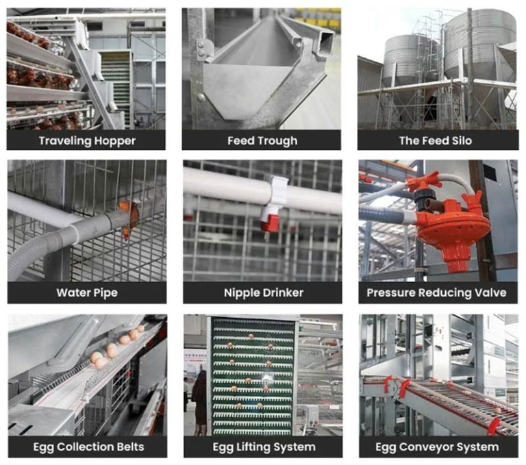 Automatic Deep Litter System For Broilers 5000-30000 Birds Per House – livi